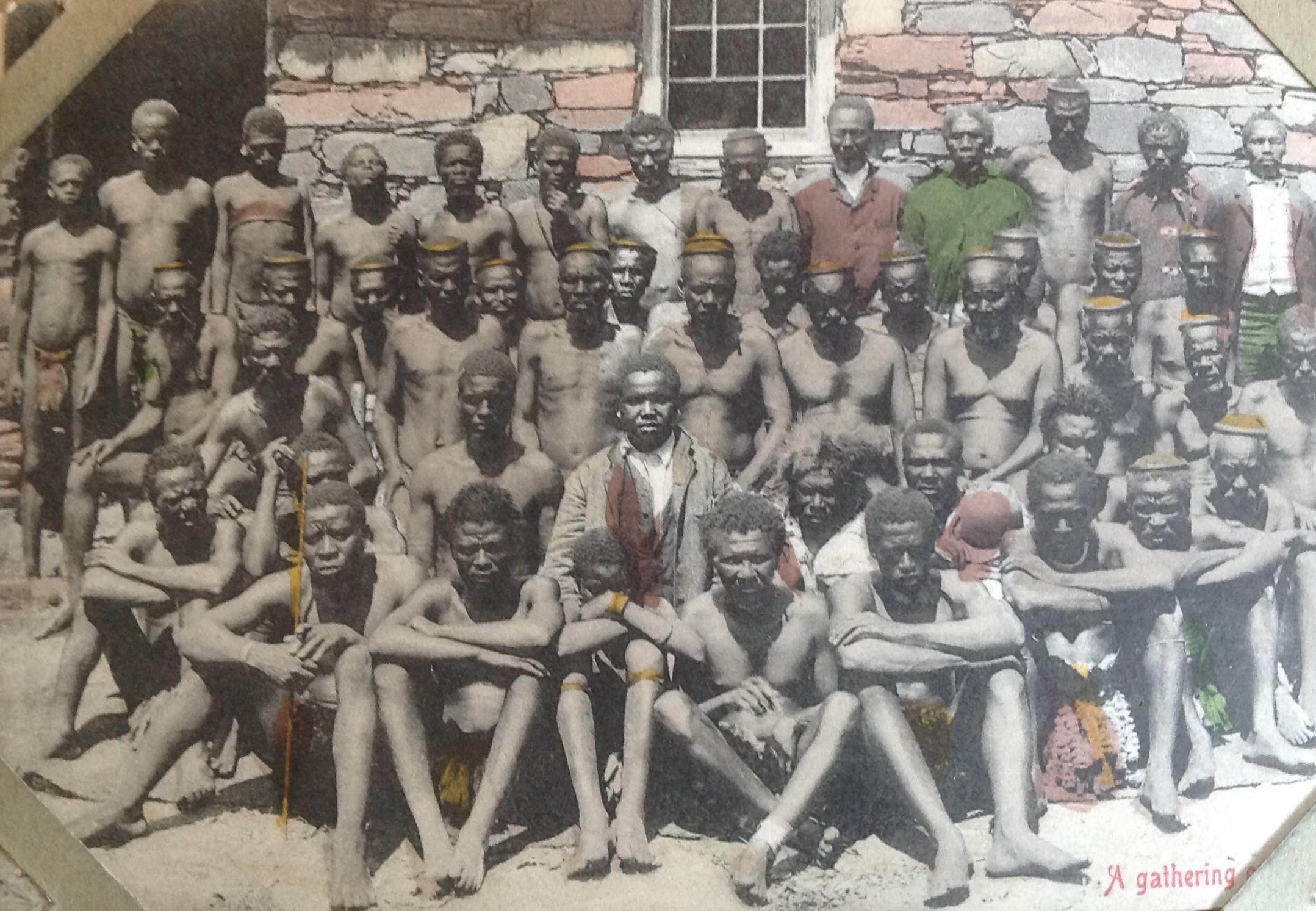 An early South African Philaphotographologist - Frederick William Willis | The Heritage Portal